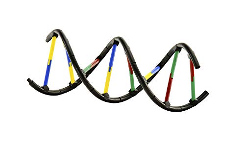 Thames & Kosmos Biology Genetics and DNA Multicolor, med