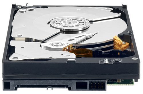 Western Digital 250 GB RE3 SATA 3 Gb/s 7200 RPM 16 MB Cache Bulk/OEM Enterprise Hard Drive - WD2502ABYS