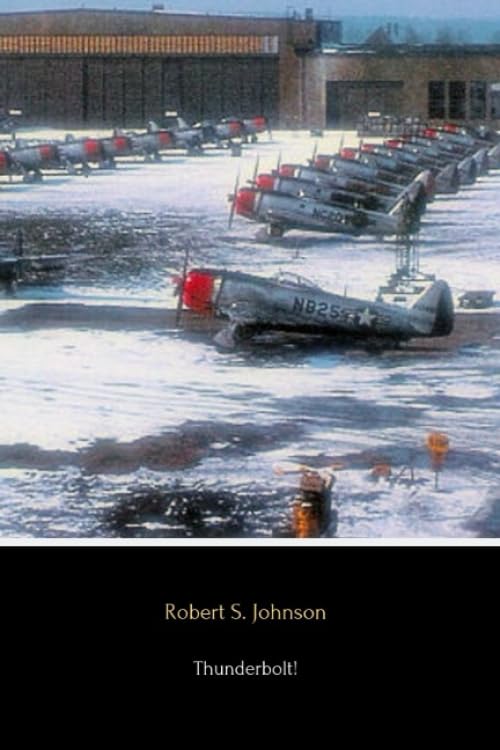 Thunderbolt!: The Extraordinary Story of a World War II Ace