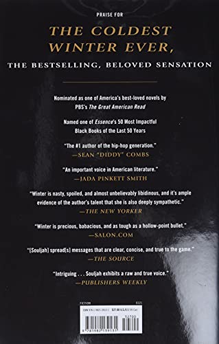 Life After Death: A Novel (2) (The Winter Santiaga Series)