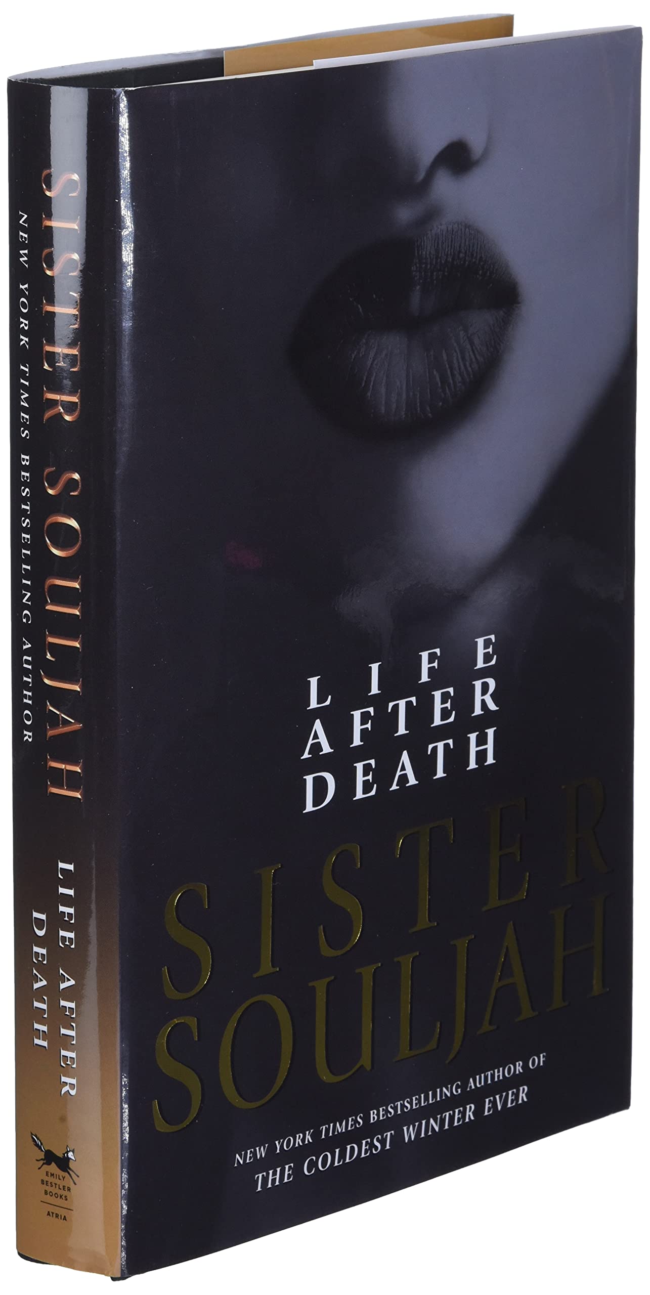 Life After Death: A Novel (2) (The Winter Santiaga Series)