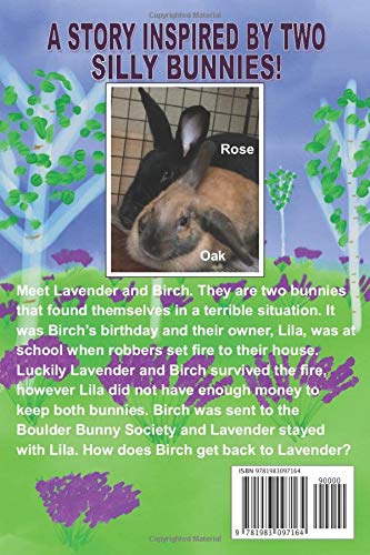 Lavender and Birch: The story of two bunnies' journey to stay together.
