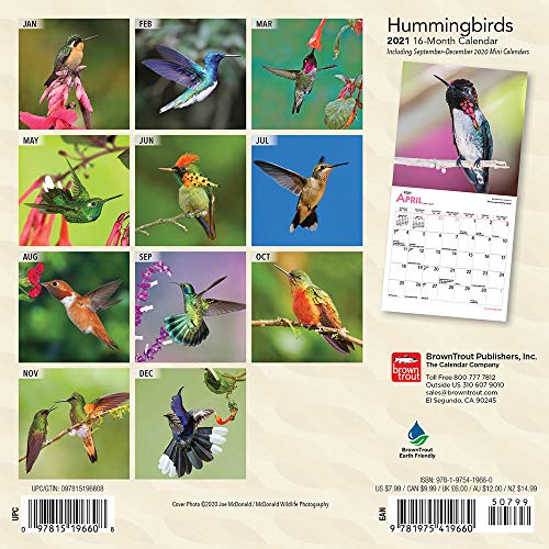 Hummingbirds 2021 Calendar: Foil Stamped Cover