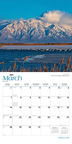 Wild & Scenic Utah 2021 Calendar
