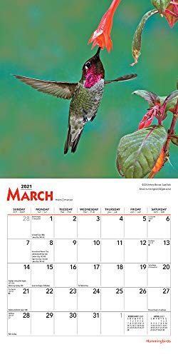 Hummingbirds 2021 Calendar: Foil Stamped Cover