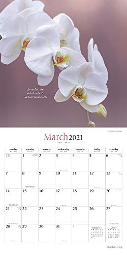 Mindful Living 2021 Calendar