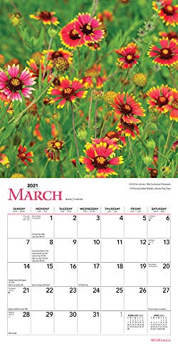 Wildflowers 2021 Calendar