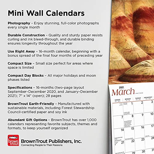 Hummingbirds 2021 Calendar: Foil Stamped Cover