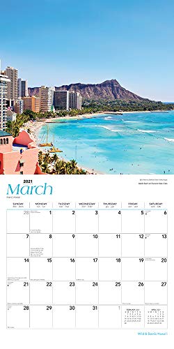 Wild & Scenic Hawaii 2021 Calendar: Foil Stamped Cover