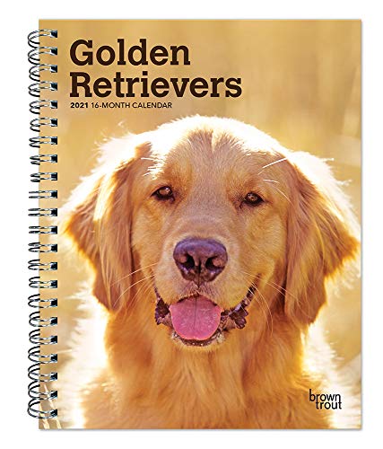 Golden Retrievers 2021 Calendar