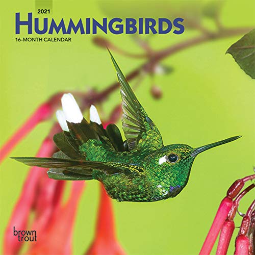 Hummingbirds 2021 Calendar: Foil Stamped Cover