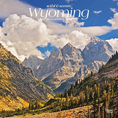 Wild & Scenicwyoming 2021 Calendar
