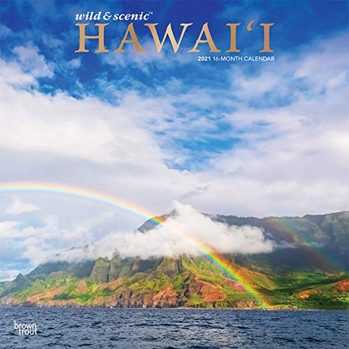 Wild & Scenic Hawaii 2021 Calendar: Foil Stamped Cover