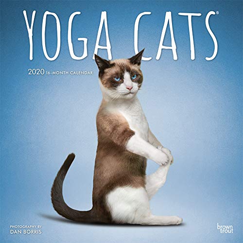 Yoga Cats 2020 Calendar