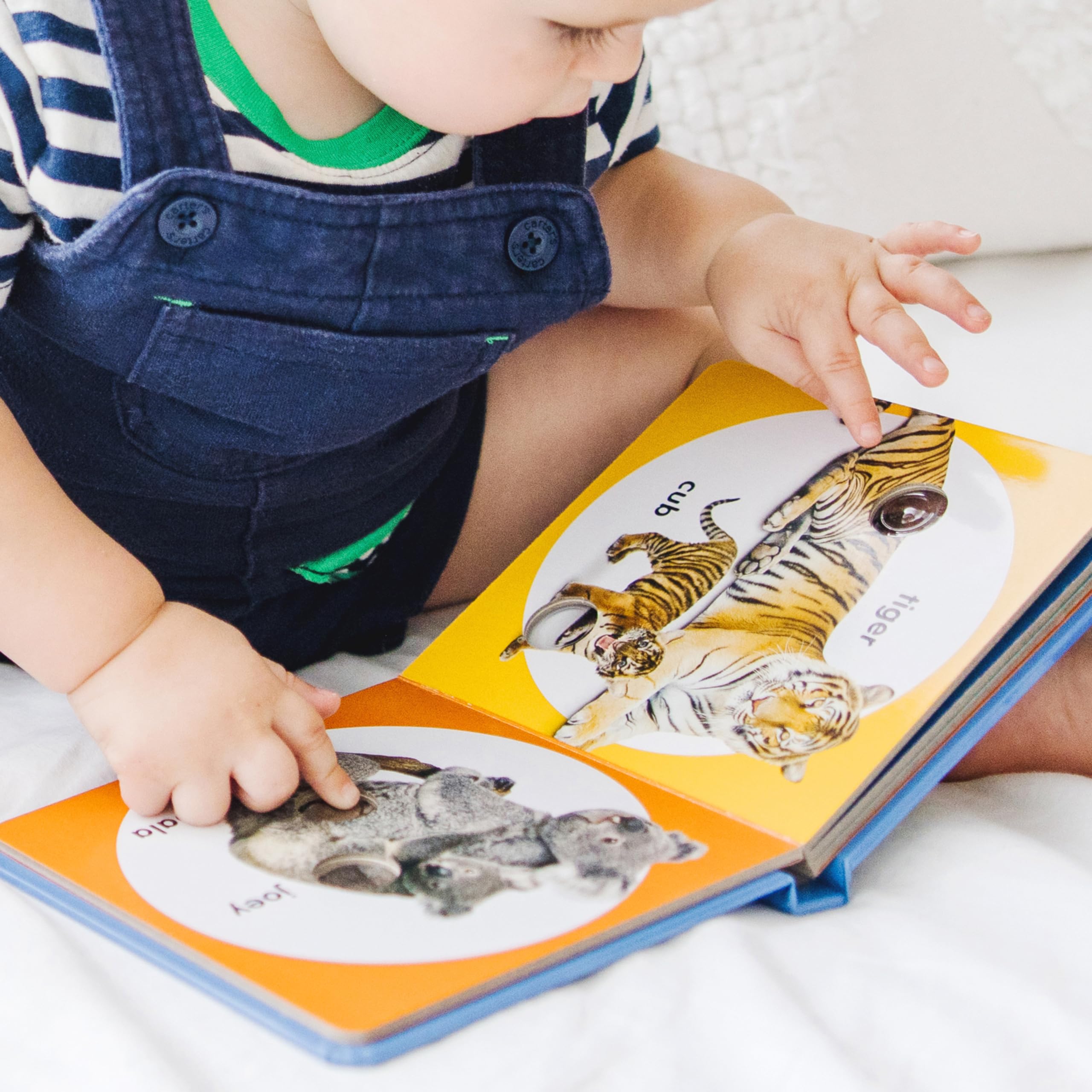 Melissa & Doug Children’s Book – Poke-a-Dot: Wild Animal Families (Board Book with Buttons to Pop)