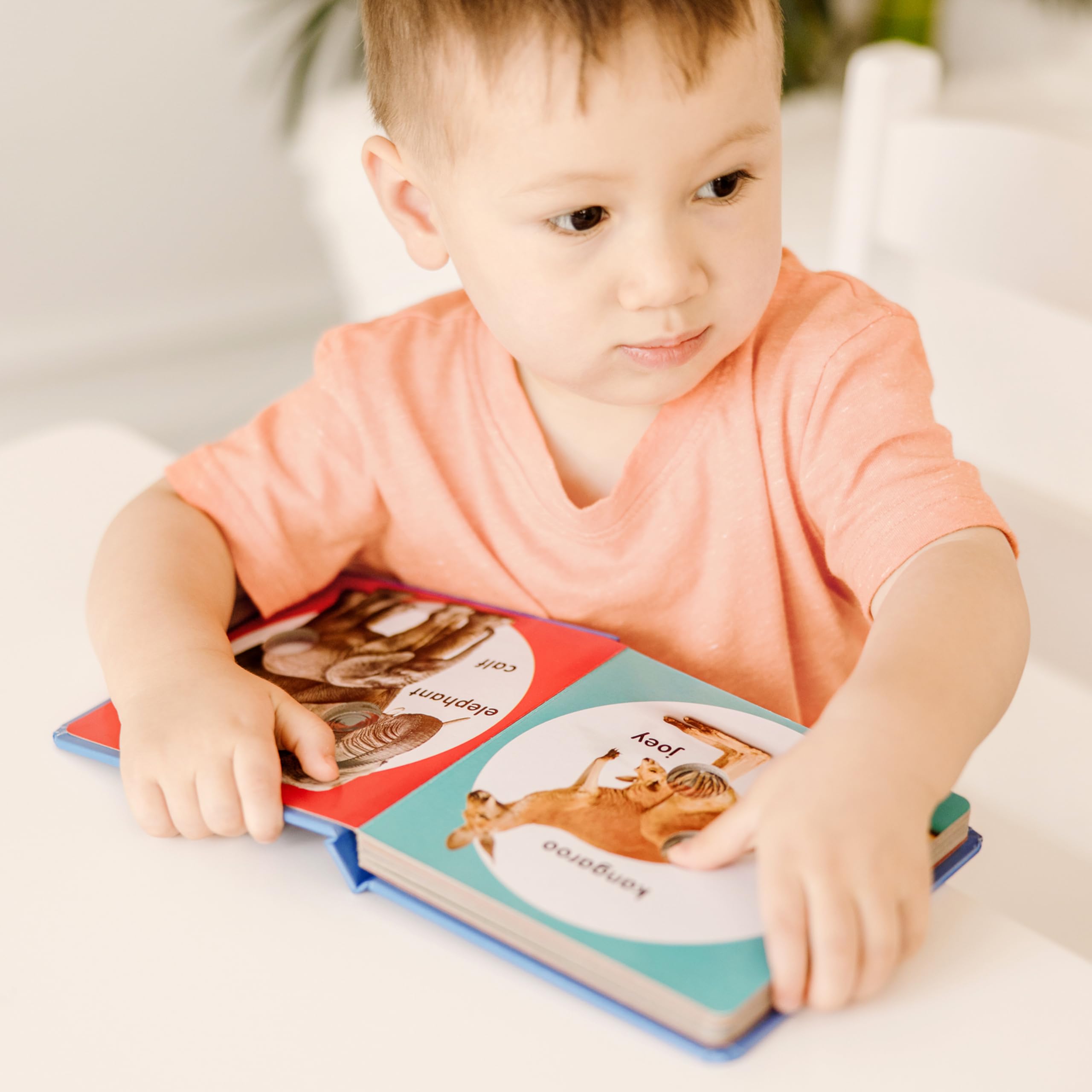 Melissa & Doug Children’s Book – Poke-a-Dot: Wild Animal Families (Board Book with Buttons to Pop)