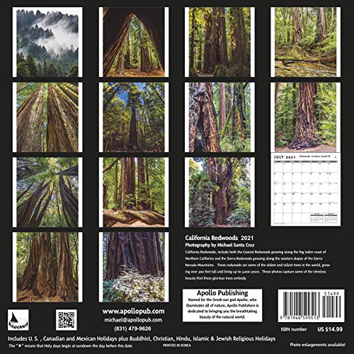 California Redwoods Calendar 2021
