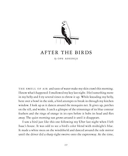 McSweeney's Issue 56 (McSweeney's Quarterly Concern)