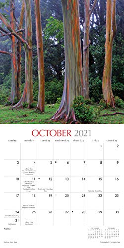Hawaii Wall Calendar 2021