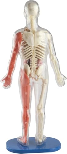 SMARTLAB Toys Squishy Human Body with 21 Removable Body Parts with Anatomy Book