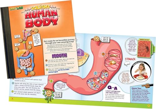 SMARTLAB Toys Squishy Human Body with 21 Removable Body Parts with Anatomy Book