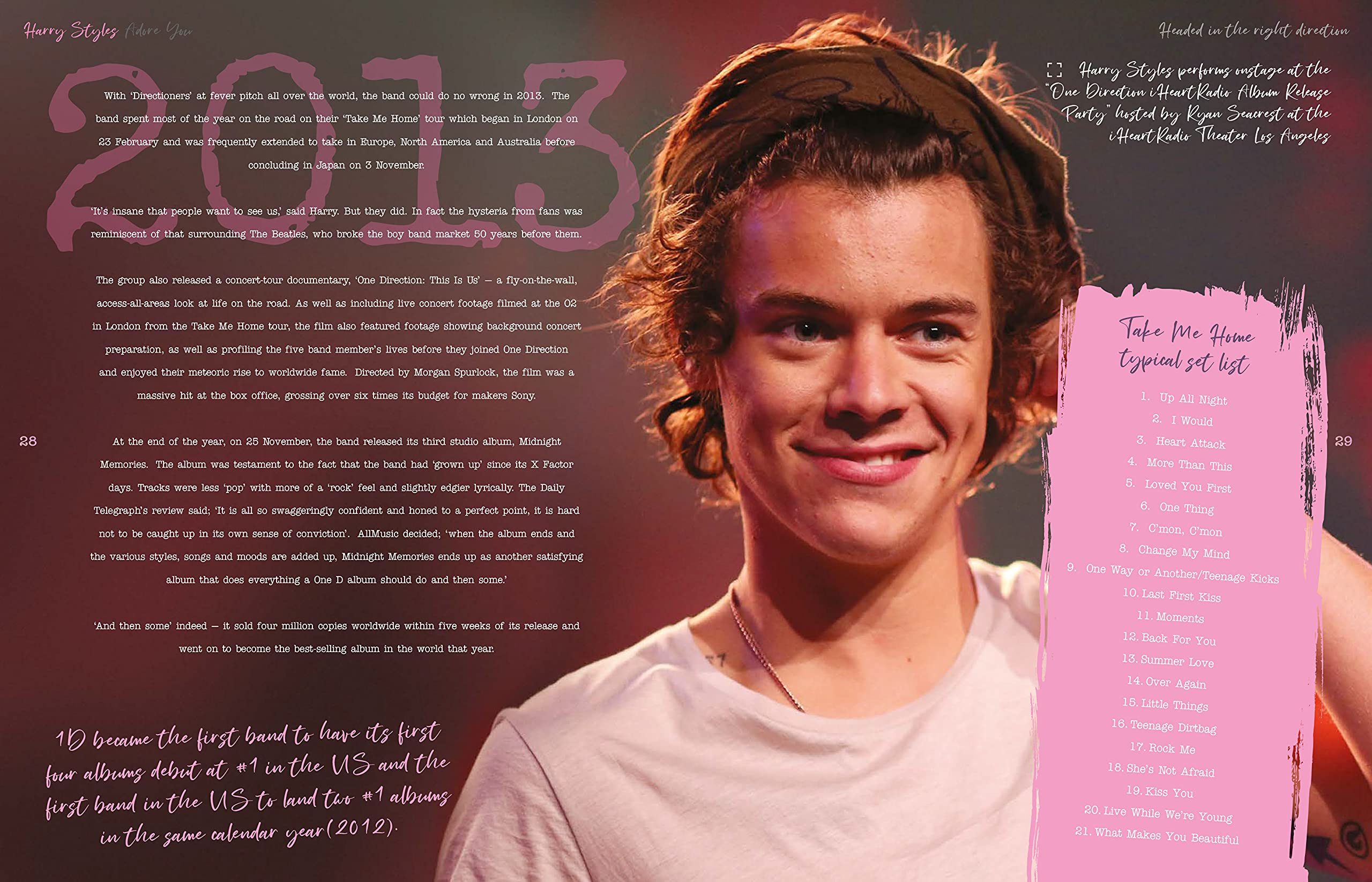 Harry Styles: Adore You: The Illustrated Biography