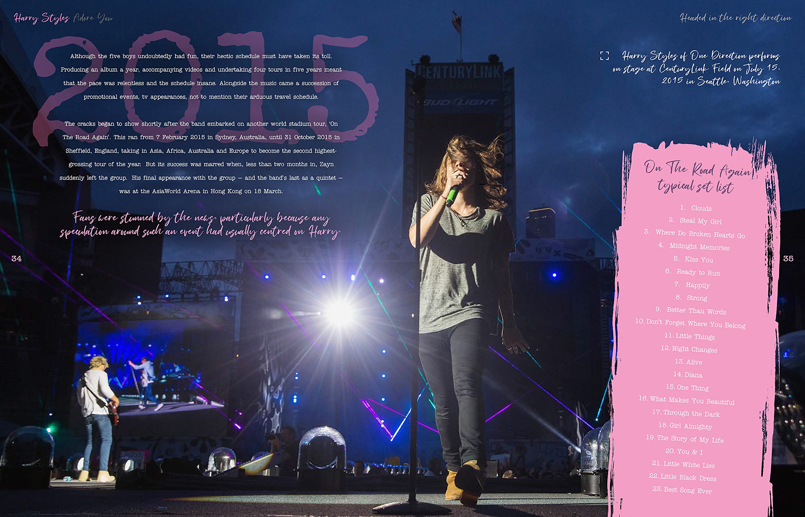 Harry Styles: Adore You: The Illustrated Biography