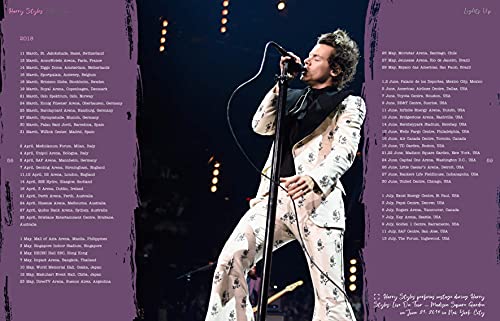 Harry Styles: Adore You: The Illustrated Biography