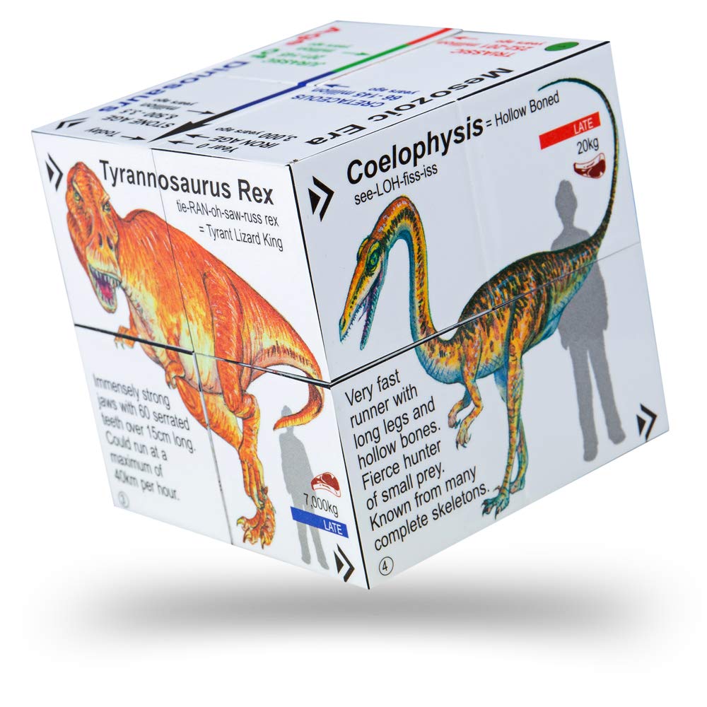 ZooBooKoo Factual Dinosaur - T-Rex & Friends Cube Book