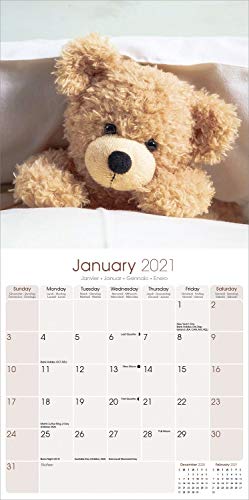 Teddy Bear Calendar - Calendars 2020 - 2021 Wall Calendars - Doll Calendars - Teddy Bears 16 Month Wall Calendar by Avonside