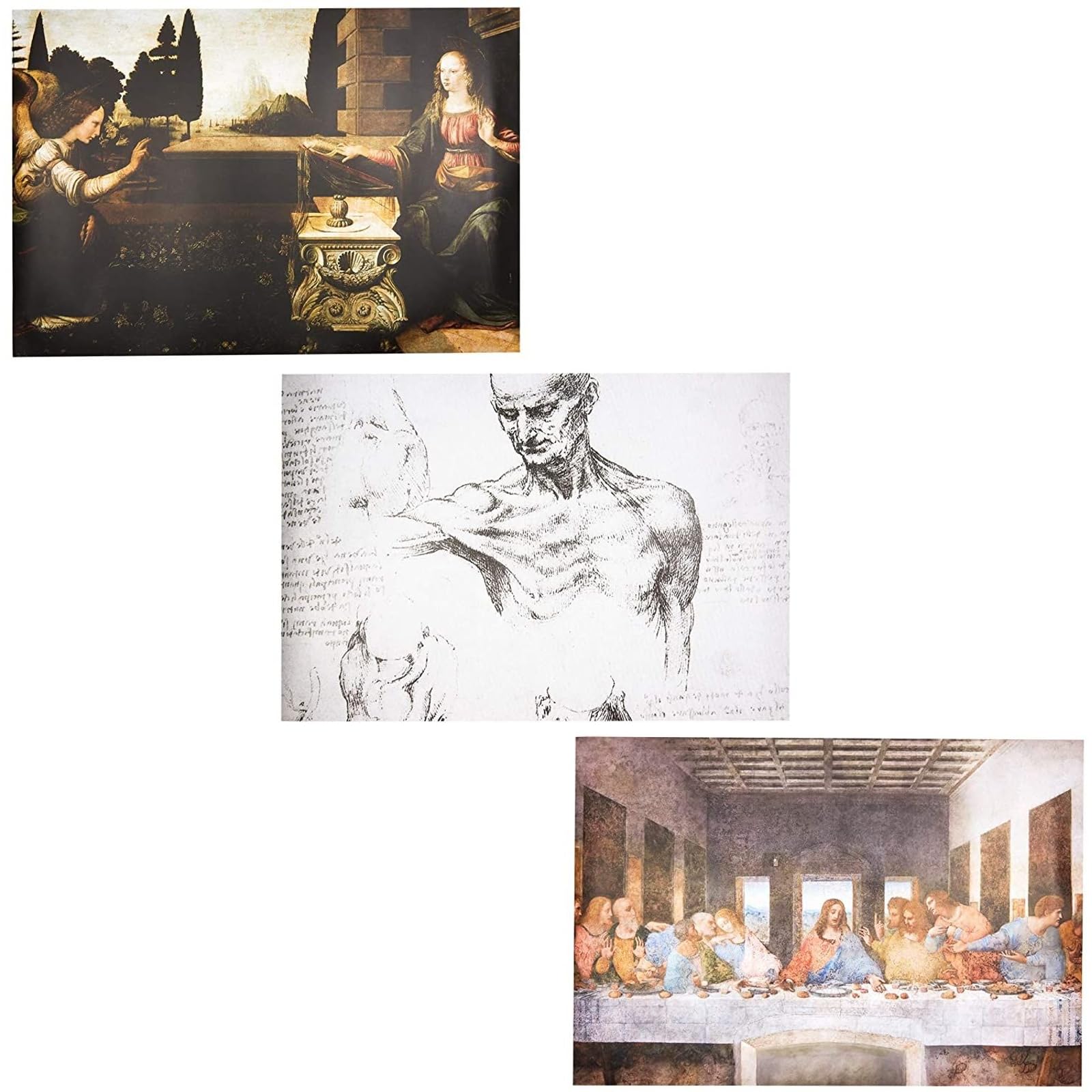 The Gifted Stationery Leonardo da Vinci Posters for Decorations (13 x 19 in, 20 Pack)