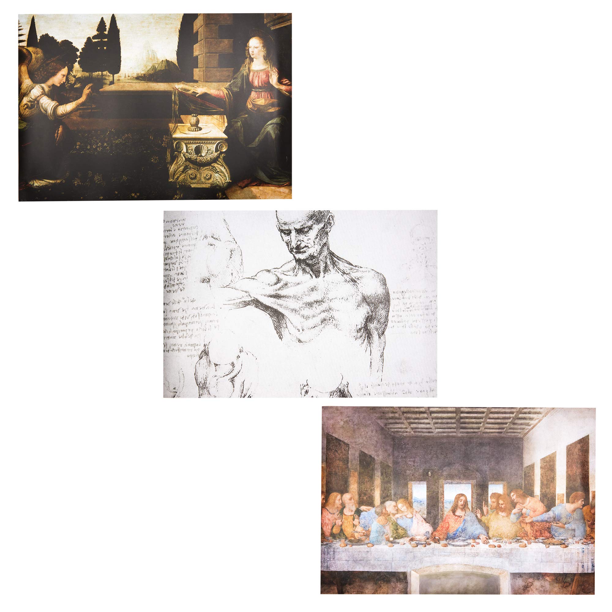 The Gifted Stationery Leonardo da Vinci Posters for Decorations (13 x 19 in, 20 Pack)