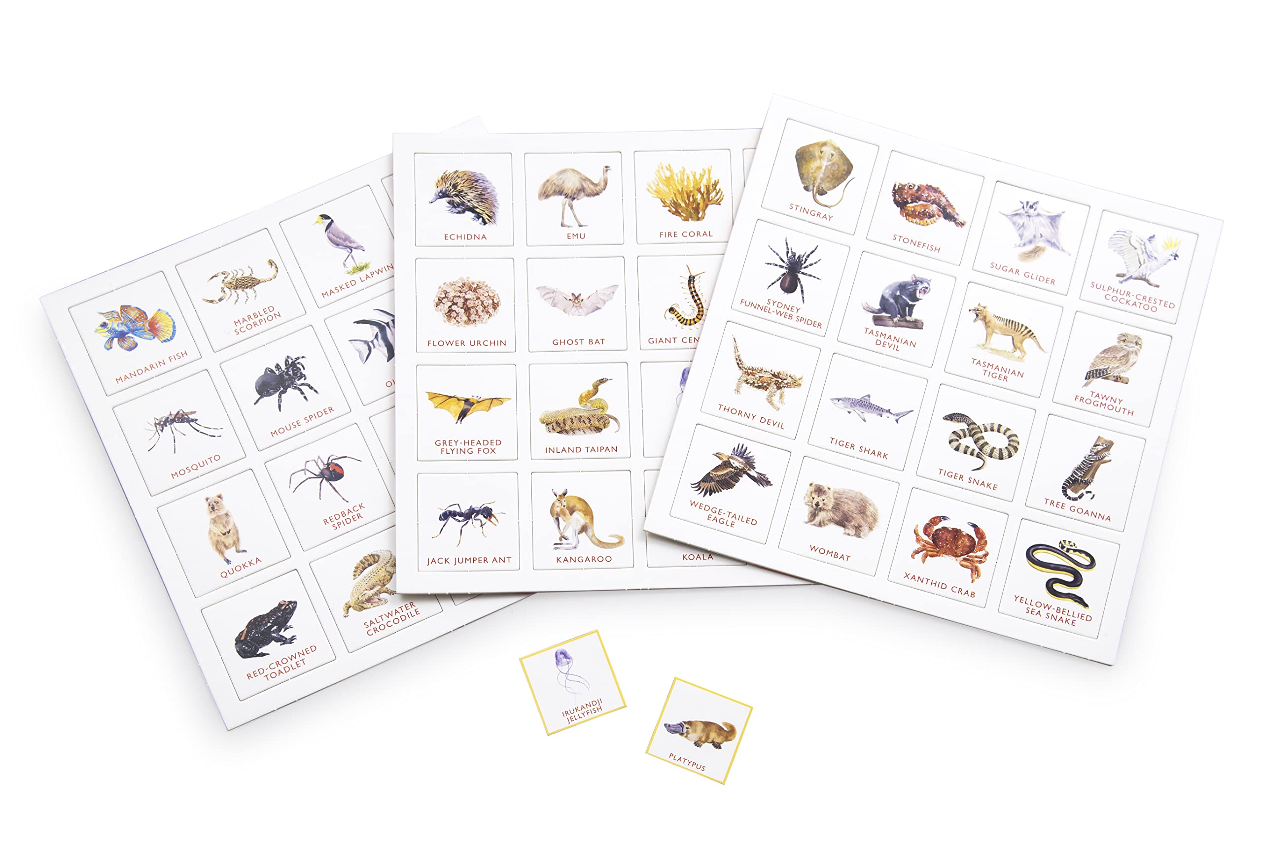 Laurence King Australia's Deadly Animals Bingo