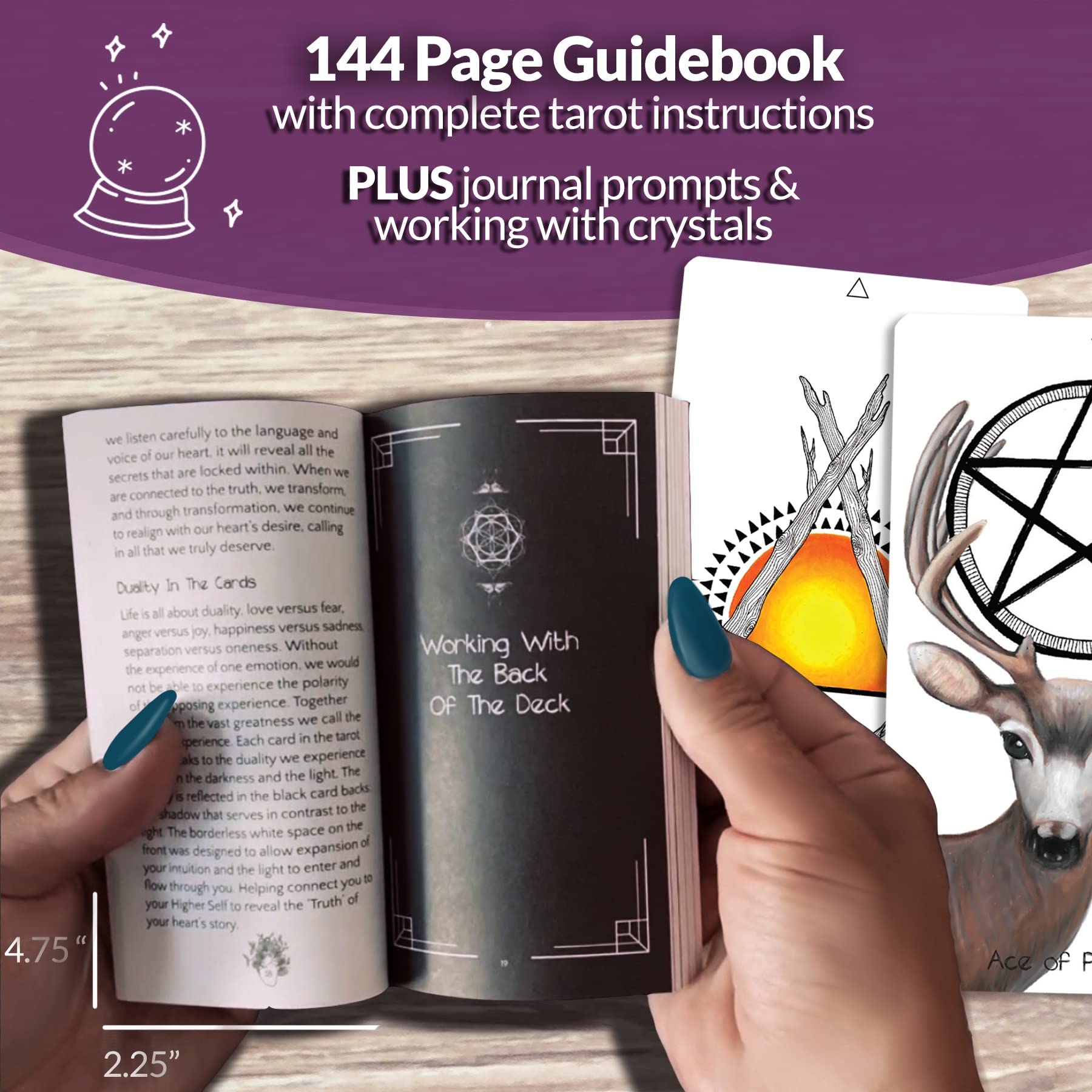 Naked Heart Tarot Deck by Jillian C. Wilde - Black Tarot Deck Tarot Cards with Guide Book - Nature & Animal Tarot Cards for Beginners & All Level Tarot Cards Deck Readers