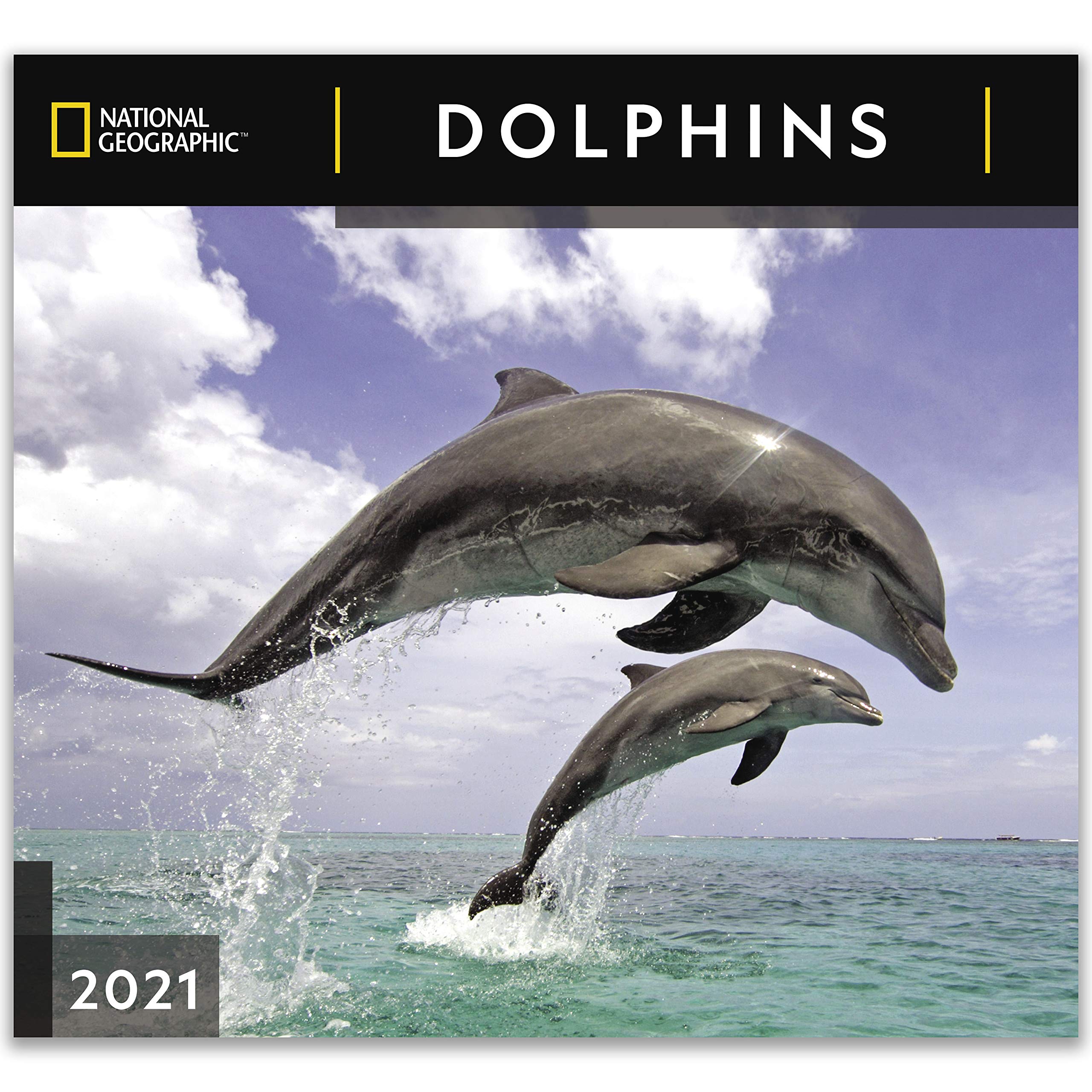 National Geographic Dolphins 2021 Wall Calendar