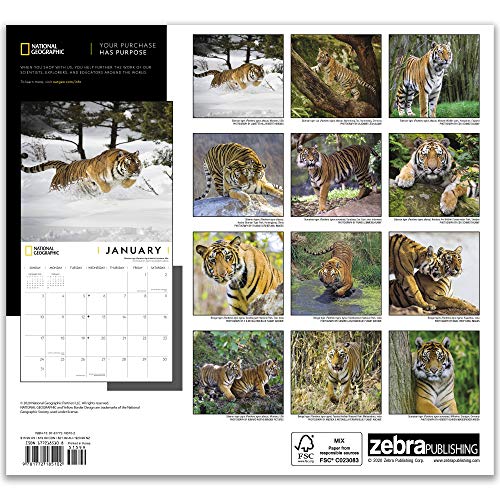 National Geographic Tigers 2021 Wall Calendar