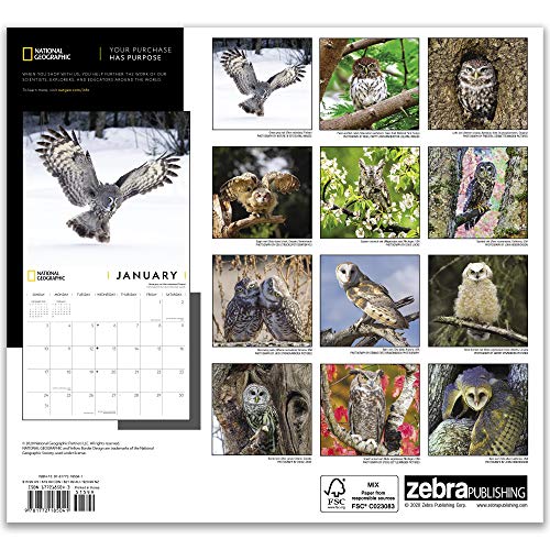 National Geographic Owls 2021 Wall Calendar