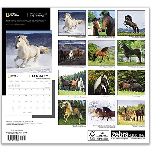 National Geographic Horses 2021 Wall Calendar