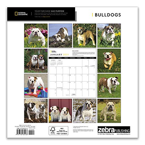 National Geographic Bulldogs 2021 Wall Calendar