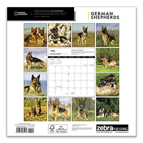 National Geographic German Shepherds 2021 Wall Calendar