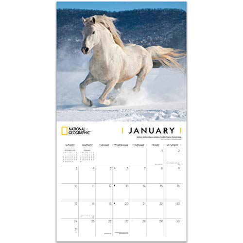 National Geographic Horses 2021 Wall Calendar