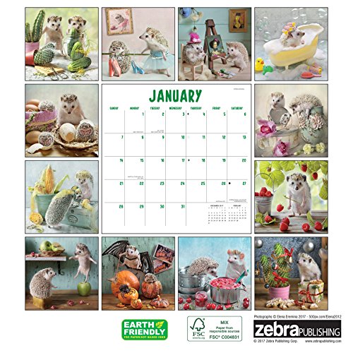 Hedgehogs 2018 Wall Calendar