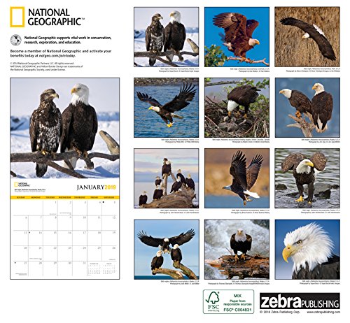 National Geographic Eagles 2019 Wall Calendar