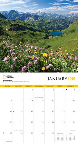 National Geographic Germany 2019 Wall Calendar