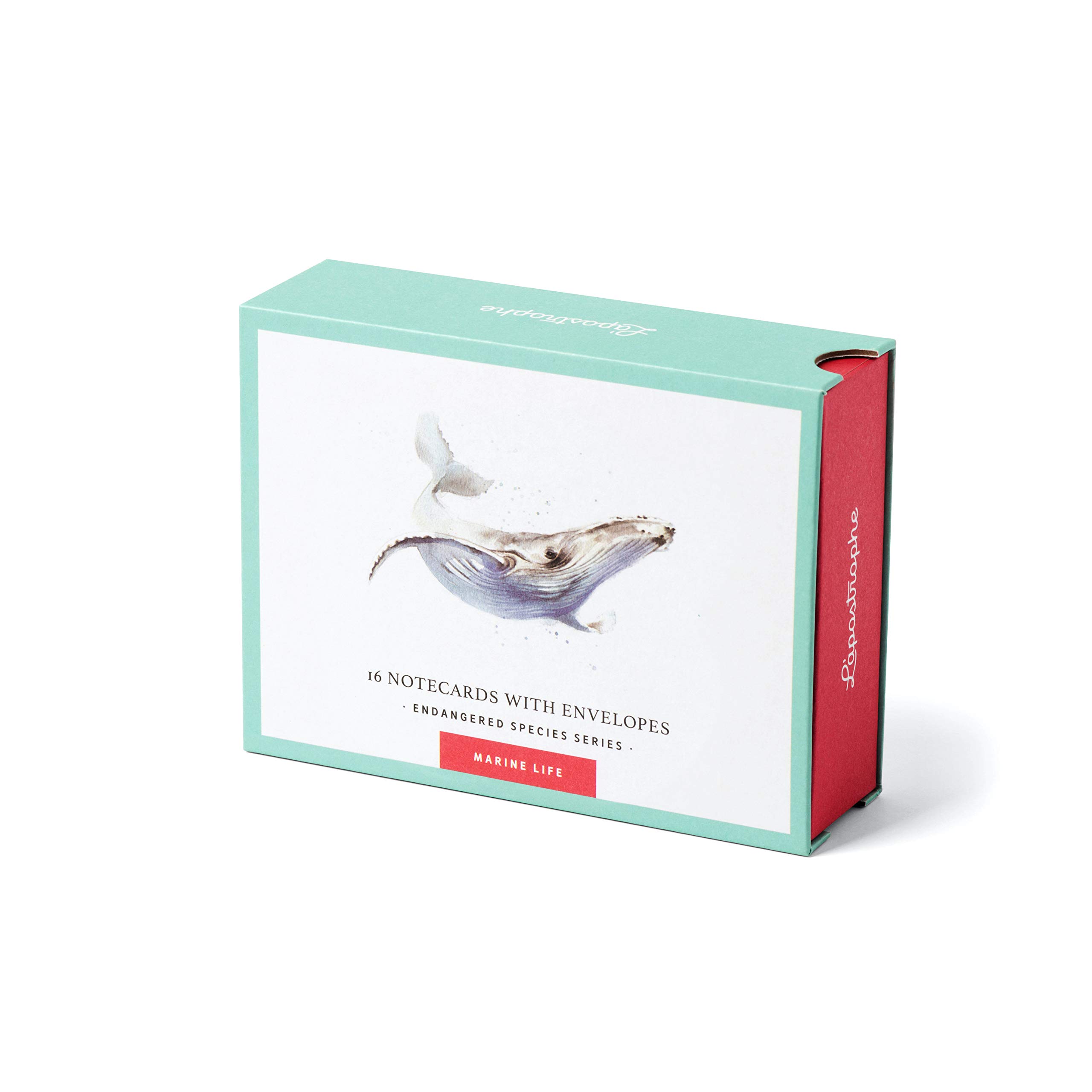 L'apostrophe Marine Life - Blank Note Cards with Envelopes - Blue Whale - Turtle - Narwhal - Penguin - Assorted Set of 16 Animal Greeting Cards for All Occasions - 4.75" x 3.5"