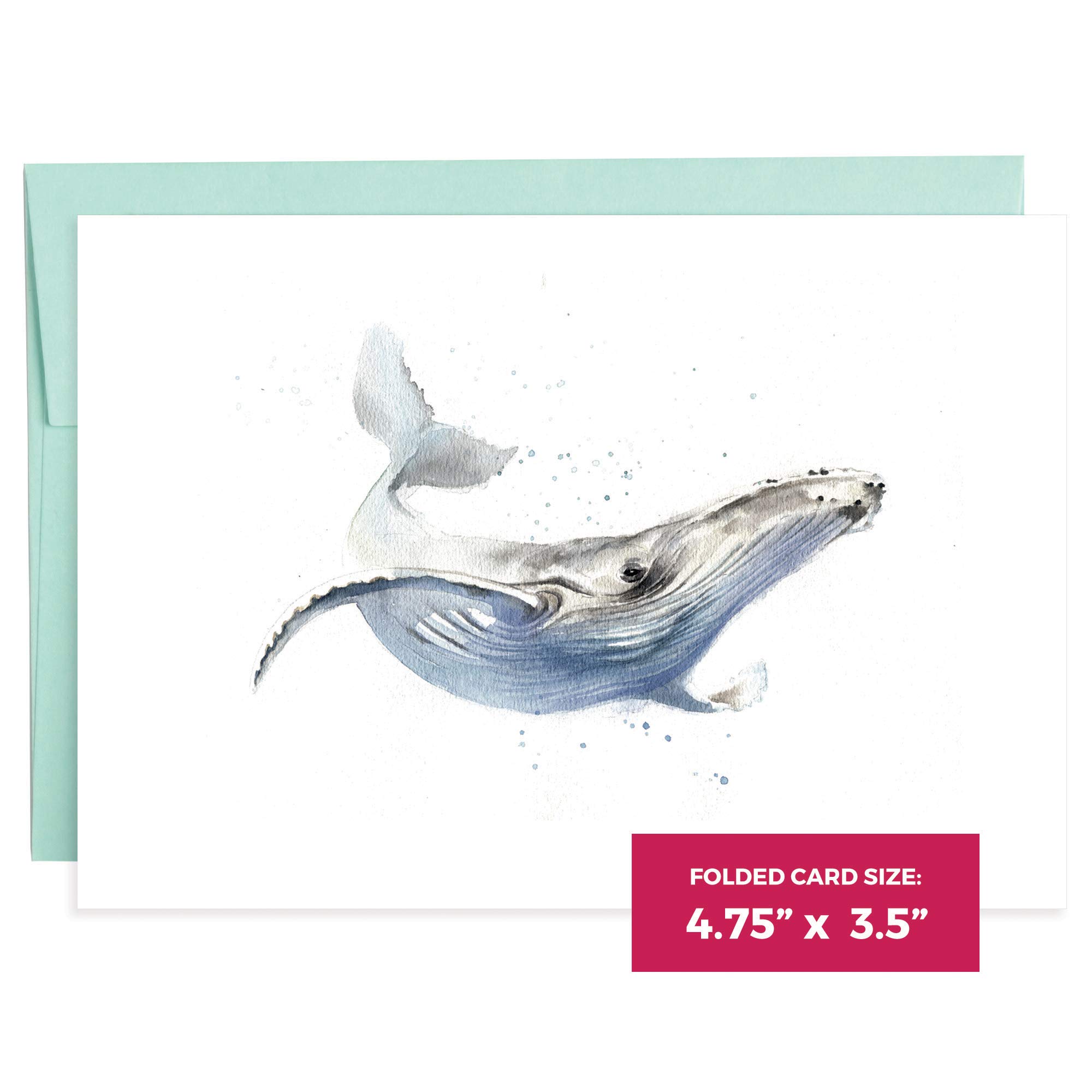 L'apostrophe Marine Life - Blank Note Cards with Envelopes - Blue Whale - Turtle - Narwhal - Penguin - Assorted Set of 16 Animal Greeting Cards for All Occasions - 4.75" x 3.5"