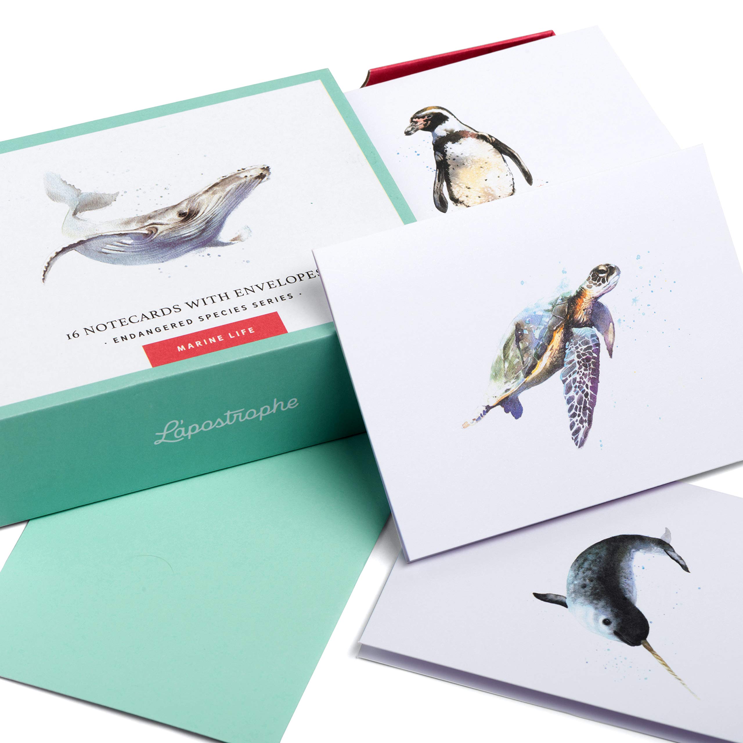 L'apostrophe Marine Life - Blank Note Cards with Envelopes - Blue Whale - Turtle - Narwhal - Penguin - Assorted Set of 16 Animal Greeting Cards for All Occasions - 4.75" x 3.5"