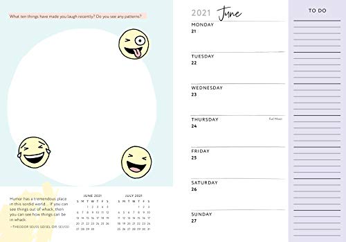 2021 Amy Knapp's The Very Busy Planner: 17-Month Weekly Organizer for Women (Includes Stickers, Student Planner, Family Planner, Thru December 2021)