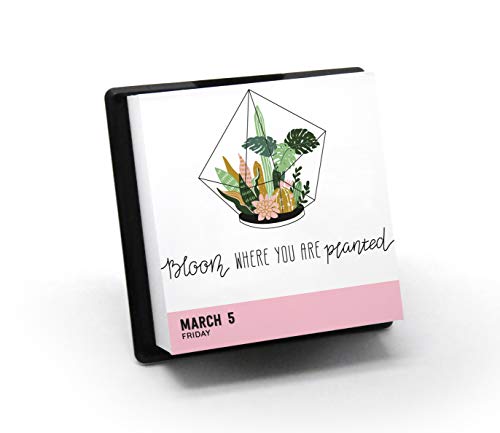 2021 Instant Happy Notes Boxed Calendar: 365 Reminders to Smile and Shine! (Happiness Daily Calendar, Inspirational Gift for Women, Desk Gift for Him)