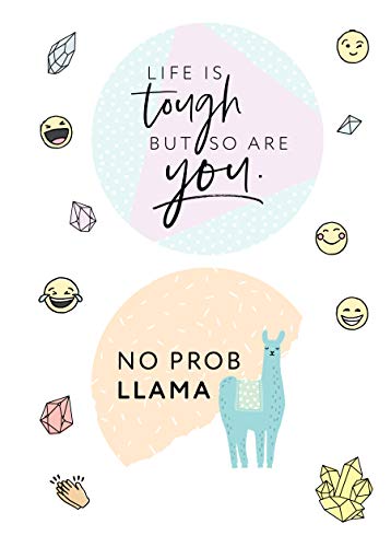 2021 Amy Knapp's The Very Busy Planner: 17-Month Weekly Organizer for Women (Includes Stickers, Student Planner, Family Planner, Thru December 2021)